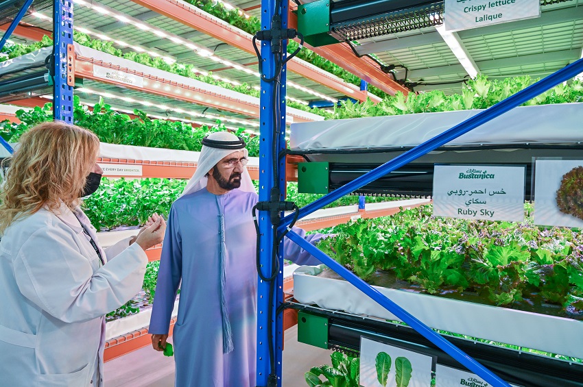 Vertical Farm Tour Dubai Ruler Tours Worlds Largest Vertical Hydroponic Farm In Dubai